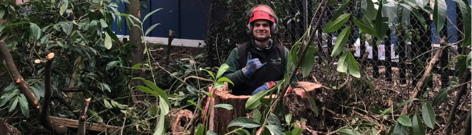 Oak Tree Surgeon - Top Garden Services